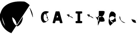 Build Rofl App Oasis Documentation