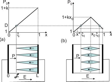 Color Online Spontaneous Polarization Profiles And Domain Structures At