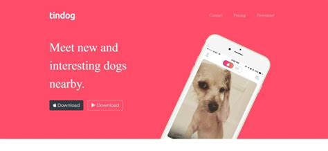 Devansh Jadhav On Linkedin Share Experience Webdevelopment Learning Help Creative