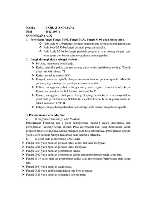 Program Incremental Pdf