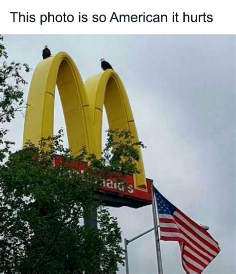 This Is America” 36 Memes That Sum Up Life In The United States
