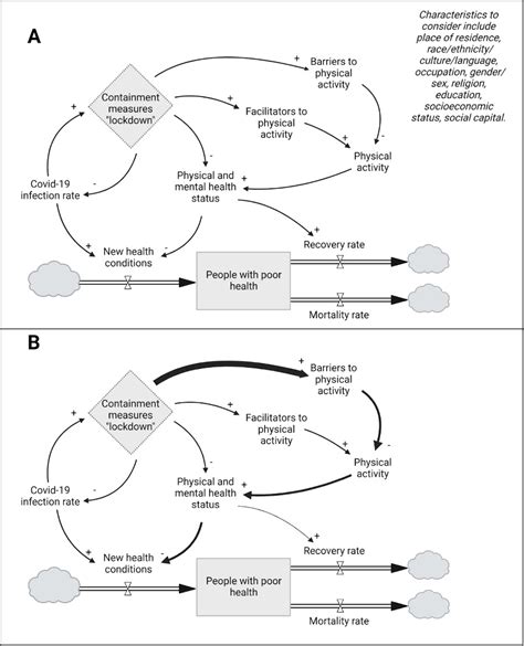 Unequal Impacts Of Universal Health Policies A Systems Oriented View Of Physical Activity