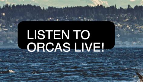 Html How To Make Text And Image Contained In Div When Div Shrinks Stack Overflow