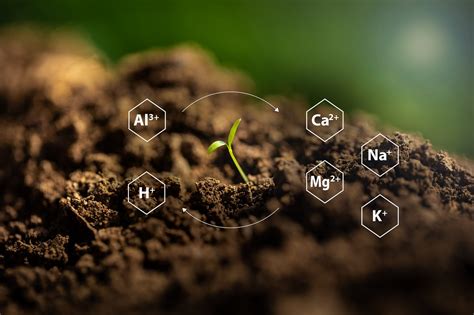 Base Cation Saturation Ratio Bcsr Pros Cons And Comparison