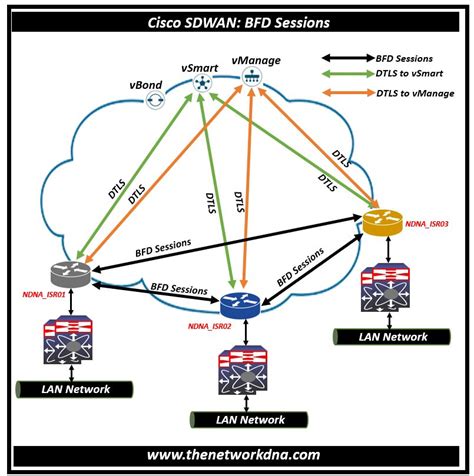 Cisco Catalyst Sdwan Bfd Session Down Troubleshooting The Network Dna