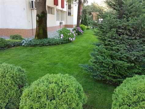 Озеляване и поддръжка на градини и дворове Озеленяване и поливни системи