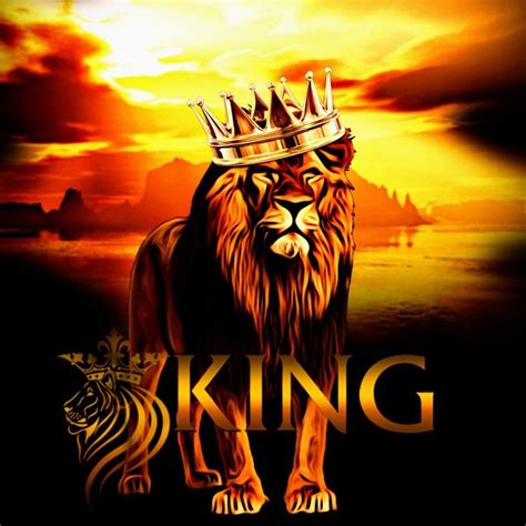 Sher Ka Photo
