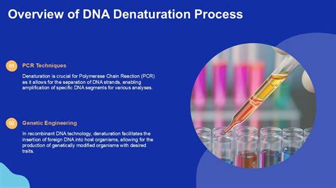 Overview Of Dna Denaturation Process Ppt Powerpoint Acp Ppt Powerpoint