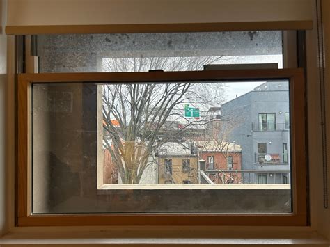 My Rattling Window By Sophie Haigney