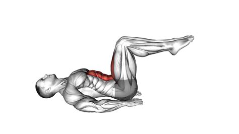 Lying Toe Touch Ultimate Exercise Guide And Tips