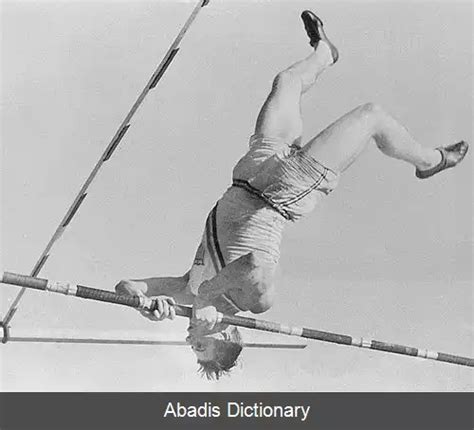 بیل میلر معنی در دیکشنری آبادیس