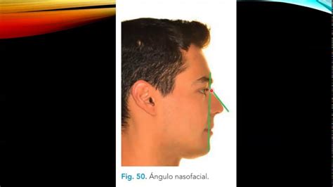 Ipe Analisis De Powell Dr Jonathan Bermudez Youtube