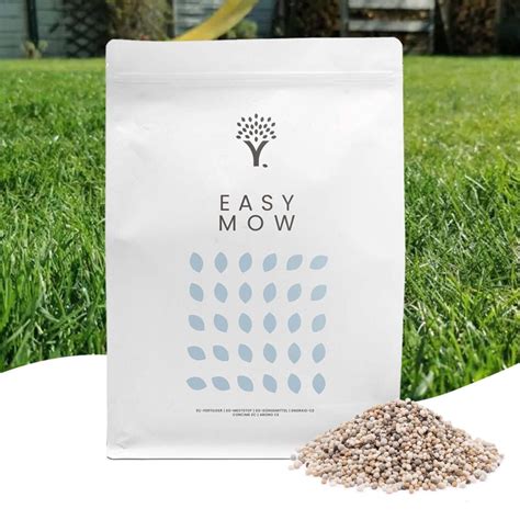 Pruning Beech Hedges Why When And How Moowy