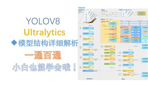 五分钟学会 yolov8从训练到部署与推理
