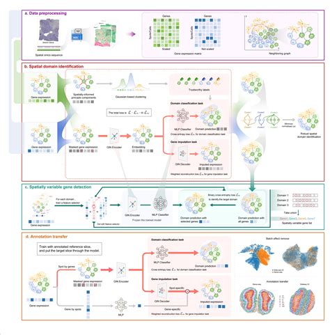 Rif · Pseudo Label Supervised Graph Neural Network Unveils Robust