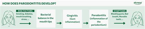 Periodontitis Prevent Detect And Treat Alkmene