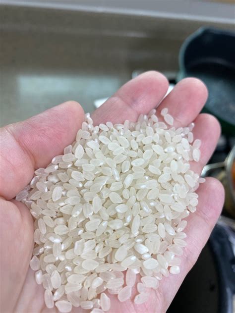 쌀 곰팡이 지식in