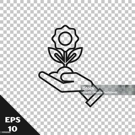 투명 한 배경에 격리 된 꽃 아이콘을 들고 검은 선 손 종자 및 묘목 묘목 심기 생태 개념 벡터 일러스트레이션 개념에 대한 스톡 벡터 아트 및 기타 이미지 Istock