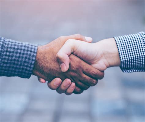 Contract With Bast Scrap — Bast