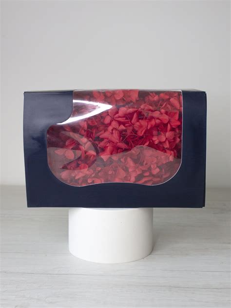 Гортензія стабілізована біла 100 гр купити в Україні за низькою