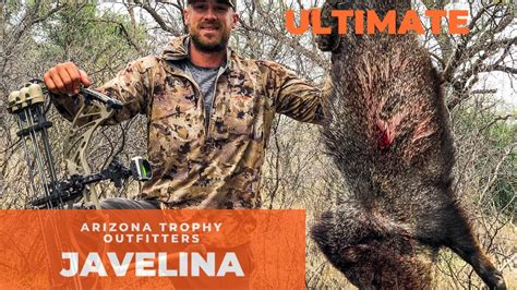 Javelina Hunting Arizona