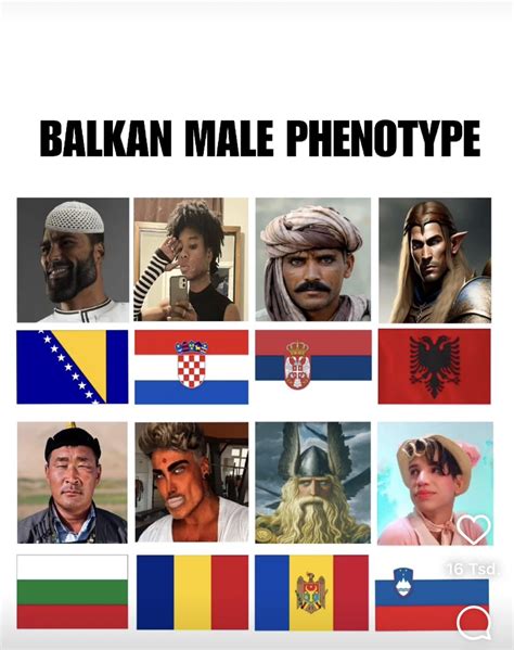 Albanian Political Compass Rbalkansirl