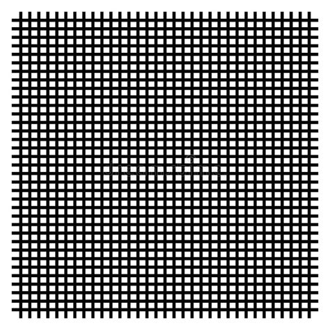 Grid Mesh Intersecting Lines Isolated On White Stock Vector Illustration Of Angular Checker
