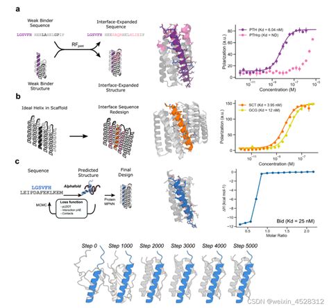 nature baker团队用ai设计出史上最高互作强度的蛋白质 de novo design of high affinity