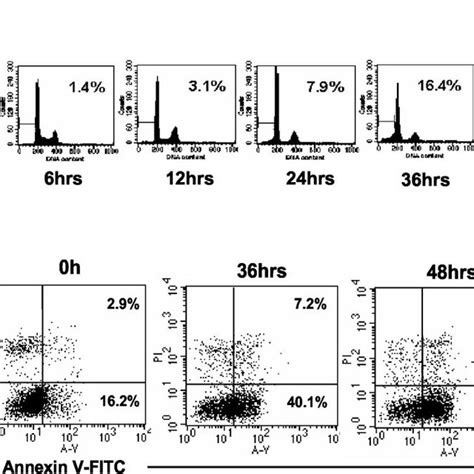 Apoptosis Induced By Tgf 1 In Snu 620 Cells A The Dna Content Download Scientific Diagram