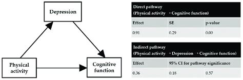 Effect Of Physical Activity On Cognitive Function And The Mediating Download Scientific Diagram