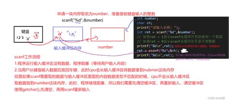 第一周（简述linux和c语言的数据类型） linux bool 头文件 csdn博客