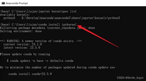 创建使用 Jupyter Notebook 虚拟环境内核jupyterhub创建一个内核 Csdn博客