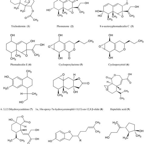 Structures Of Diterpene And Triterpene Derivatives Of Fungal Endophyte Download Scientific