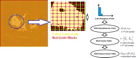 Histogram Of Gradients Block Diagram Download Scientific Diagram