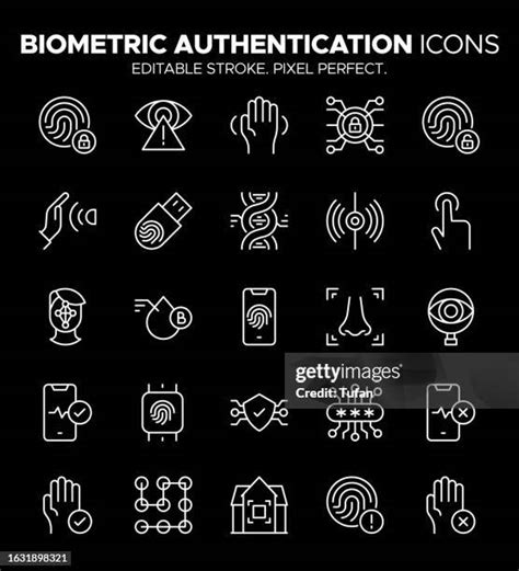 Biometric Authentication Icon Set Identification Biometric Eye Scan