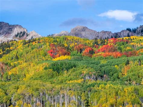 A Fall Leaf Peeping Guide To Colorado Where To Find The Best Autumn