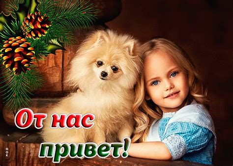 Виртуальная открытка с девочкой и собакой От нас привет!- Скачать ...