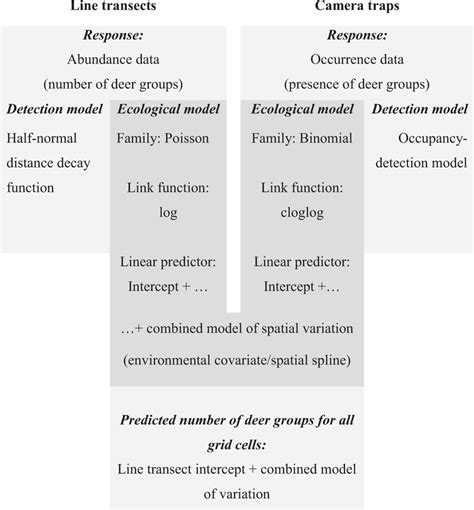 schema of the combined hierarchical model to demonstrate the links