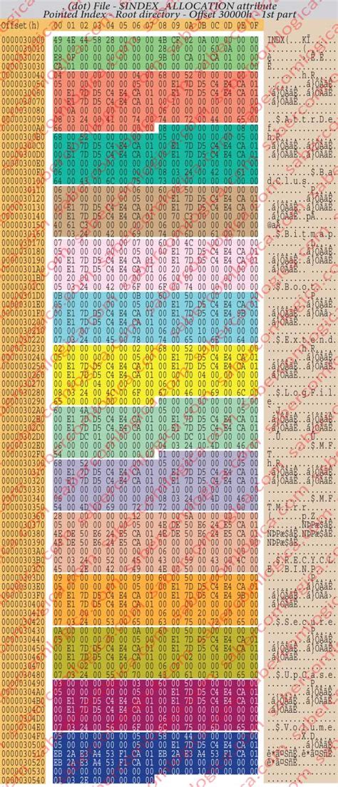 The Root Directory Saber com Lógica