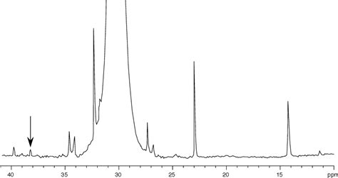 Figure 1 1 From Optimised Polyolefin Branch Quantification By 13c Nmr