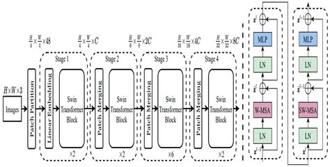 Breast Cancer Classification Using Fine Tuned Swin Transformer Model On