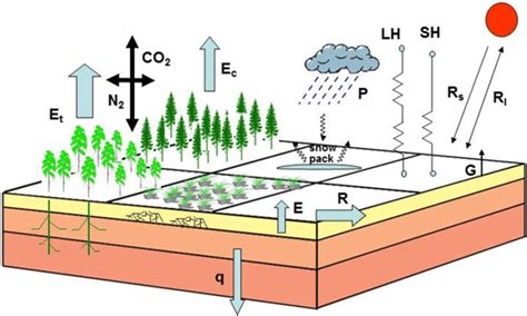 Bg Relations Spatial Variations In Terrestrial Net Ecosystem Productivity And Its Local