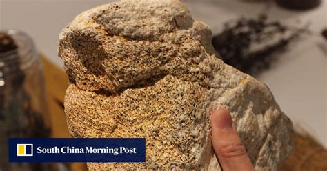 ‘dragon Bones Did Early Humans In China Collect Ancient Fossils For