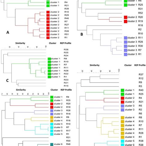 Dendrogram Showing The Relatedness Of Rep Pcr Fingerprints Of E Coli