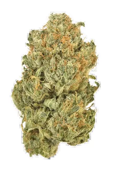 Venom Og Cannabis Strain Information Growdiaries