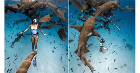 БГ моделка плува с акули