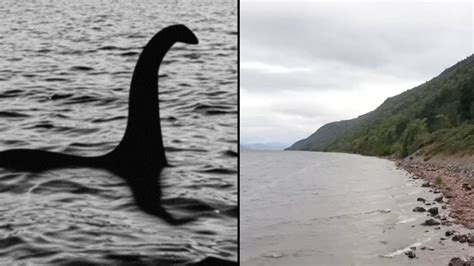Real Nessie Sightings