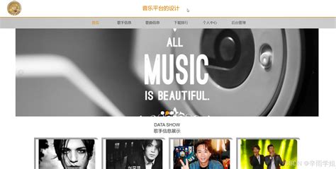 java计算机毕业设计音乐平台的设计（开题 程序 论文） csdn博客