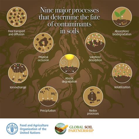 The Global Soil Partnership The Global Soil Partnership