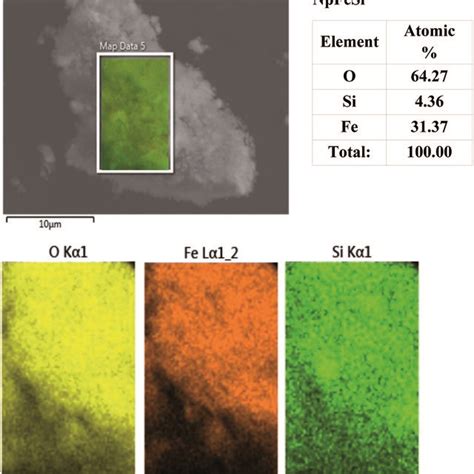 Edx Analysis Of Coreshell Nanoparticles Npfesi Download Scientific
